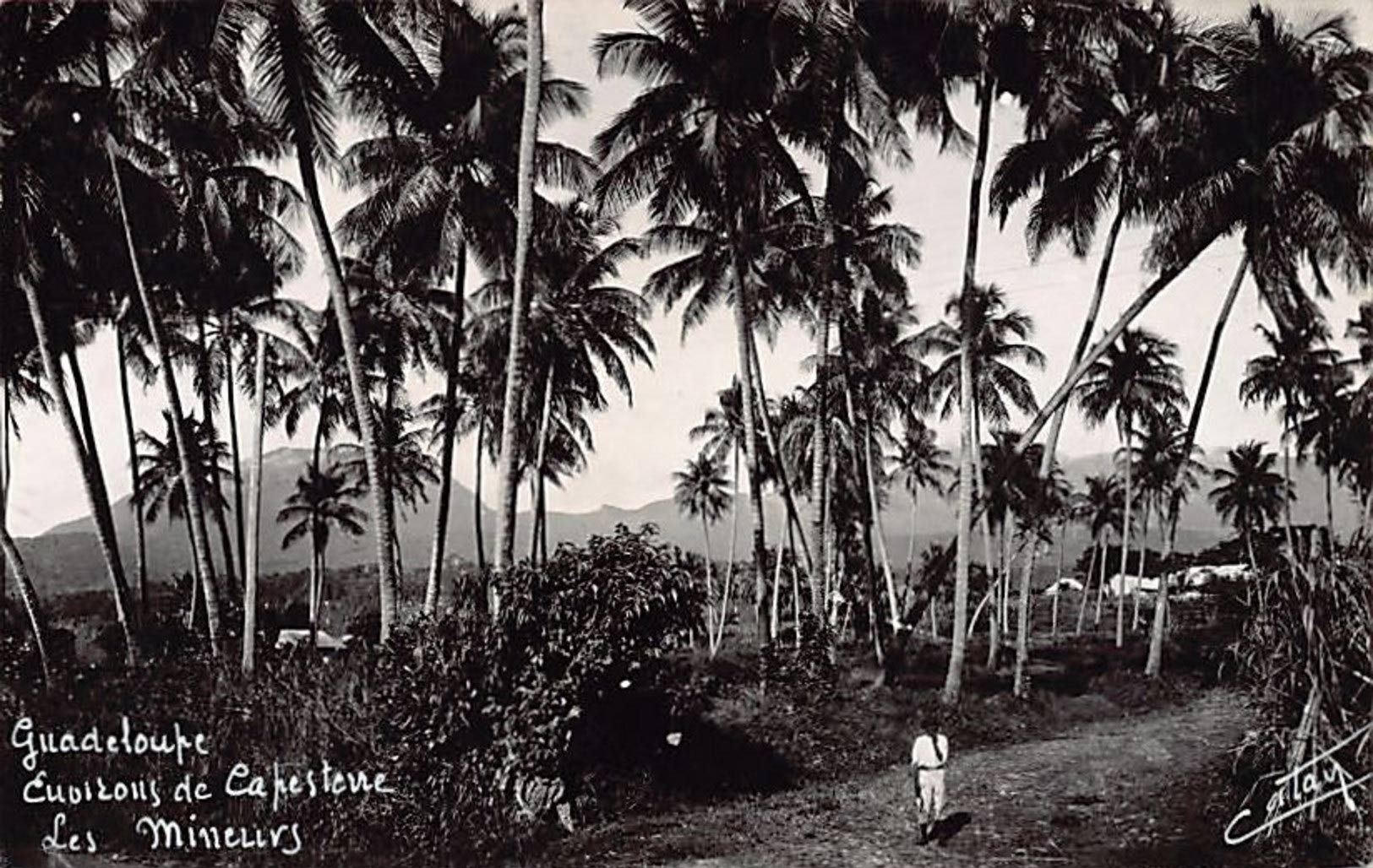 Photos anciennes guadeloupe