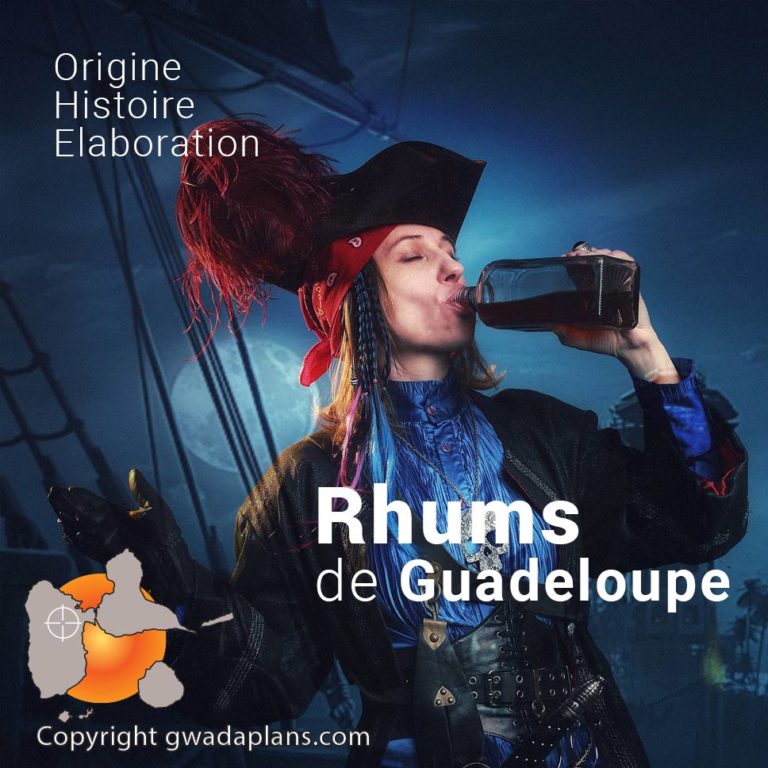 Rhum de Guadeloupe : des origines à nos jours